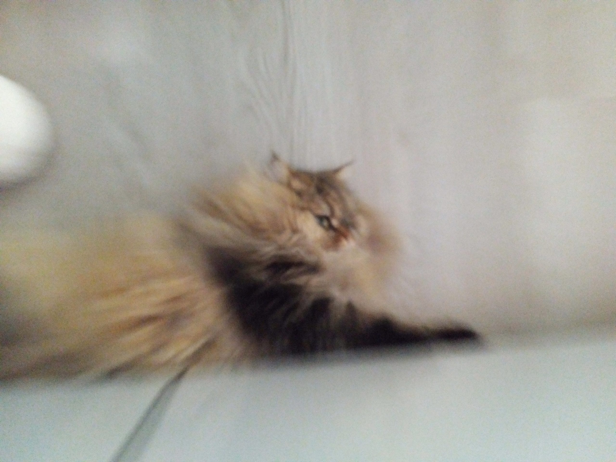 3 - CanCam.jp（キャンキャン）