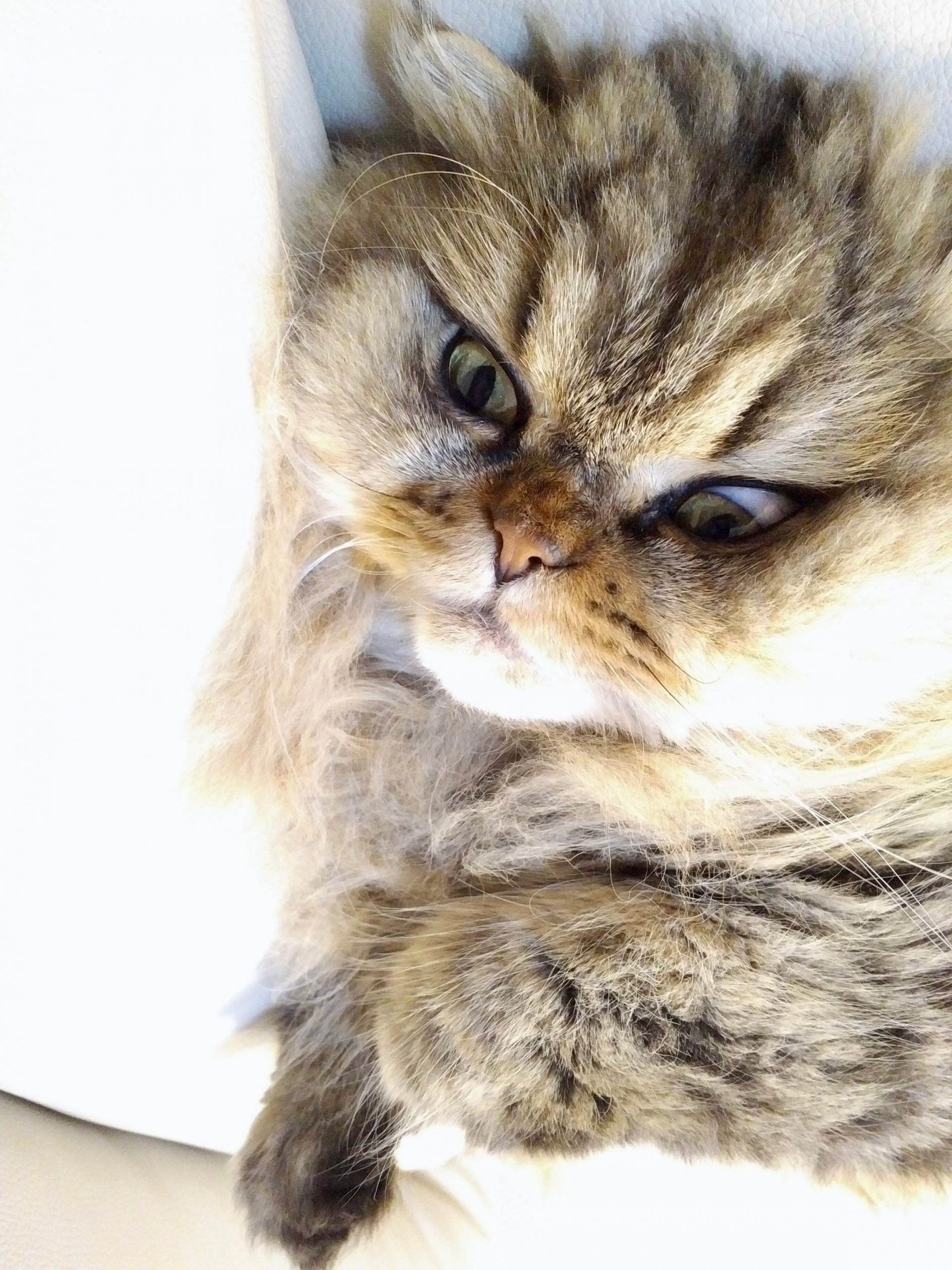 2 - CanCam.jp（キャンキャン）